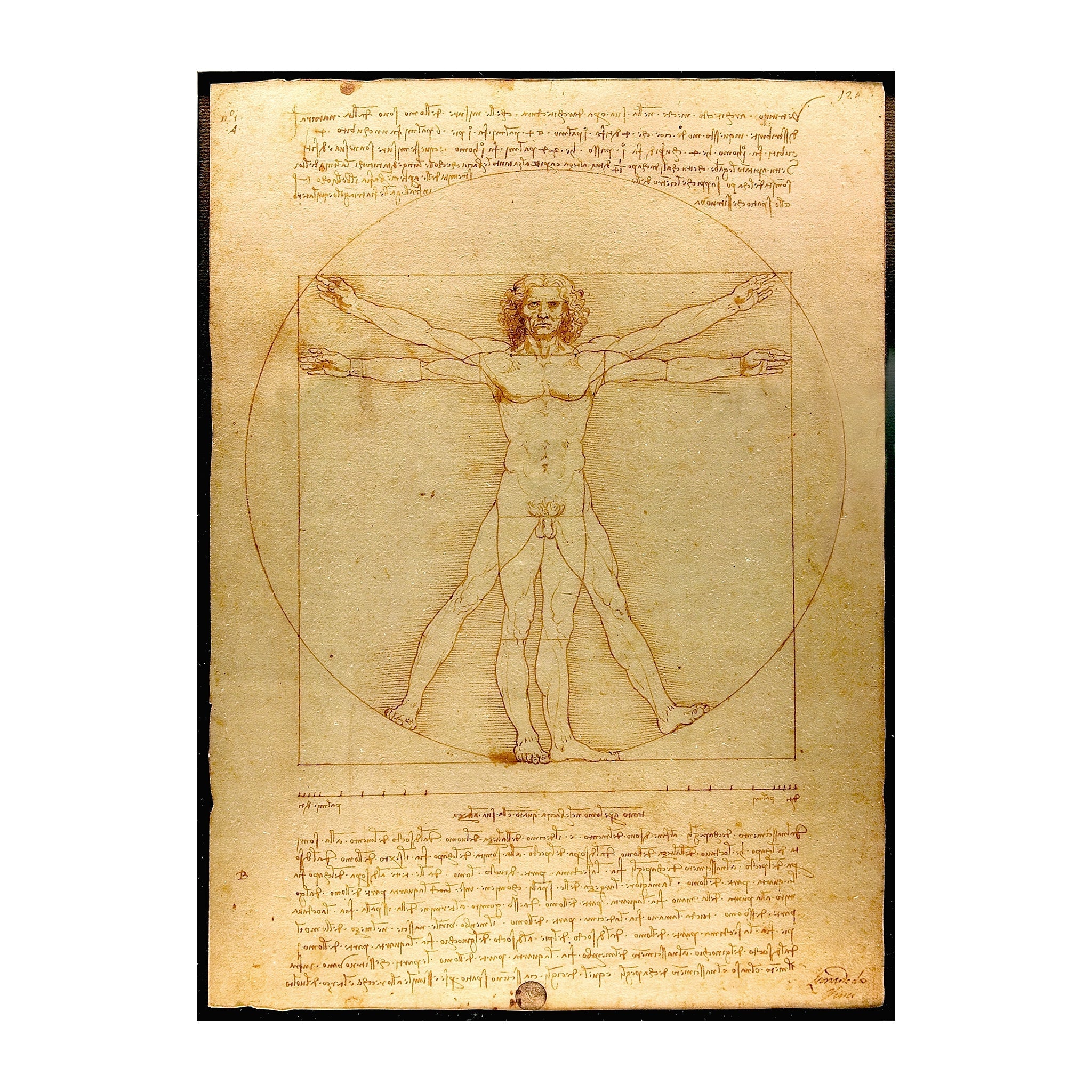 Leonardo da Vinci Prints: Genius in Every Detail | Milisima Studio